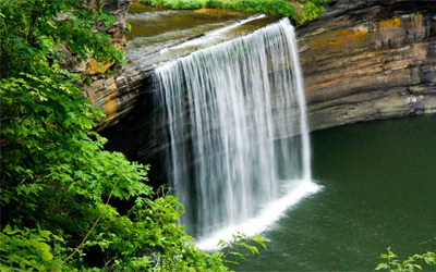 Enjoy All Albany Kentucky, Lake Cumberland, Dale Hollow Lake and ...